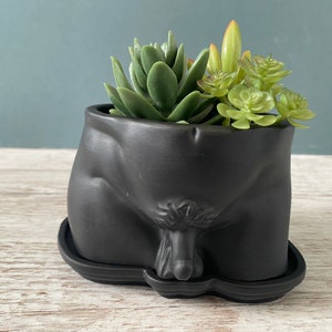 Davids Butt / Funny Planters /male Body Planter / Man Torso Pot / Human ...
