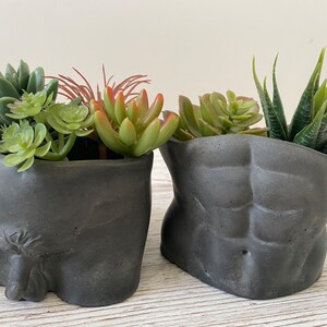 David’s Torso / Male Body Planter / Man Torso Pot / Human Planter ...