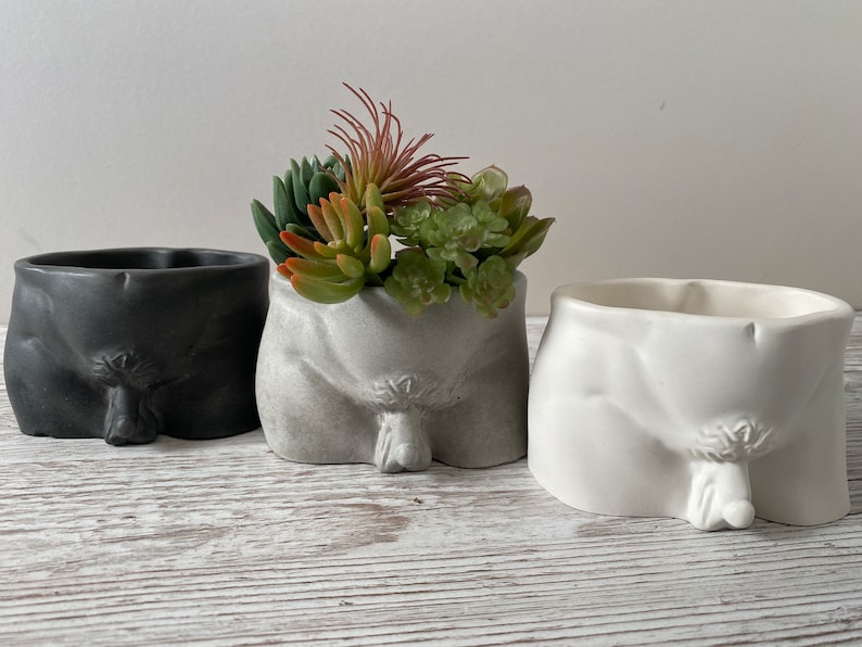 Davids Butt / Funny Planters /male Body Planter / Man Torso Pot / Human ...