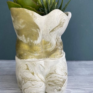 Davids Butt / Funny Planters /male Body Planter / Man Torso Pot / Human ...