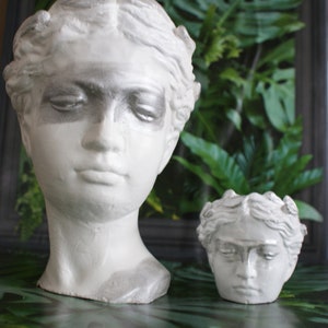 Goddess Venus Planter Pot Set of 2, Woman Angel Head Planter Pot ...
