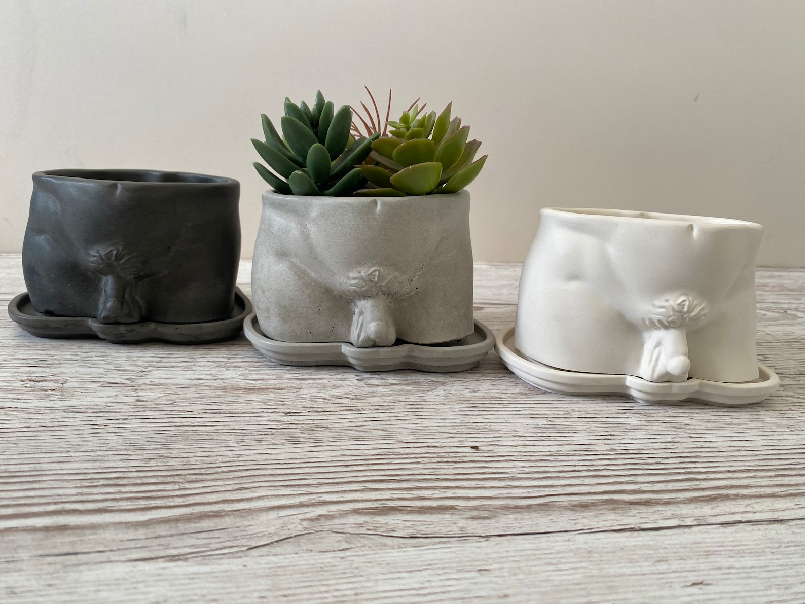 Davids Butt / Funny Planters /male Body Planter / Man Torso Pot / Human ...