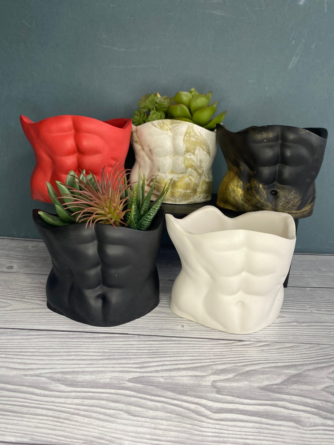 David’s Torso / Male Body Planter / Man Torso Pot / Human Planter ...