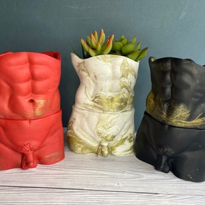 Davids Butt / Funny Planters /male Body Planter / Man Torso Pot / Human ...