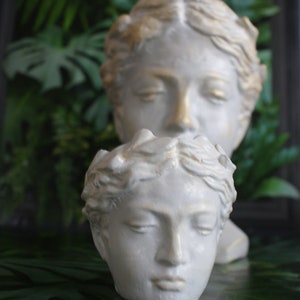 Goddess Venus Planter Pot Set of 2, Woman Angel Head Planter Pot ...