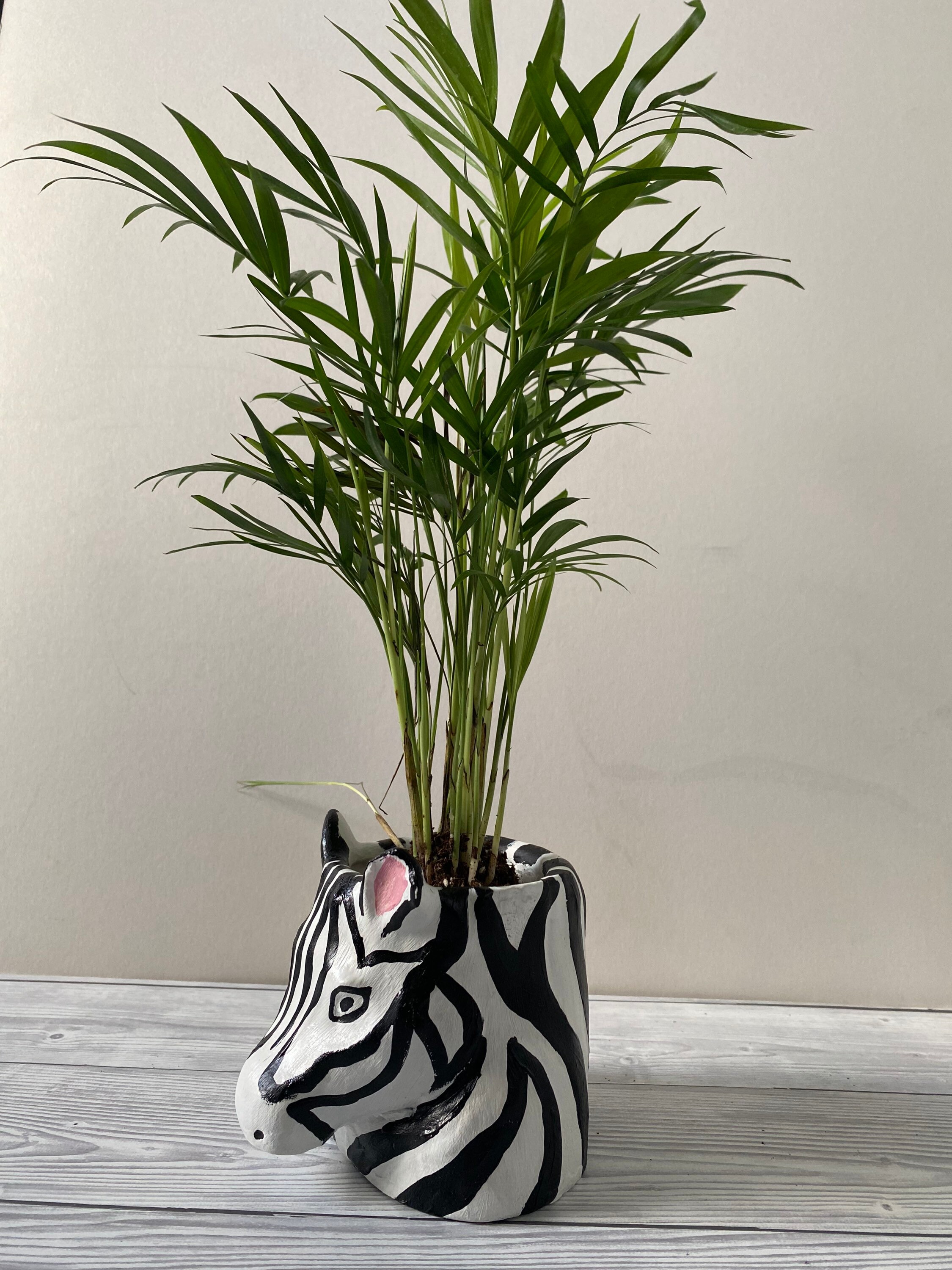 Zebra Head Planter / Round Concrete Planter / Handmade Planter / Zebra ...