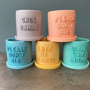 Funny Planters UK, Jesmonite Plant Pots UK, Please Don’t Die Pot ...