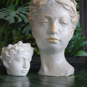 Goddess Venus Planter Pot Set of 2, Woman Angel Head Planter Pot ...