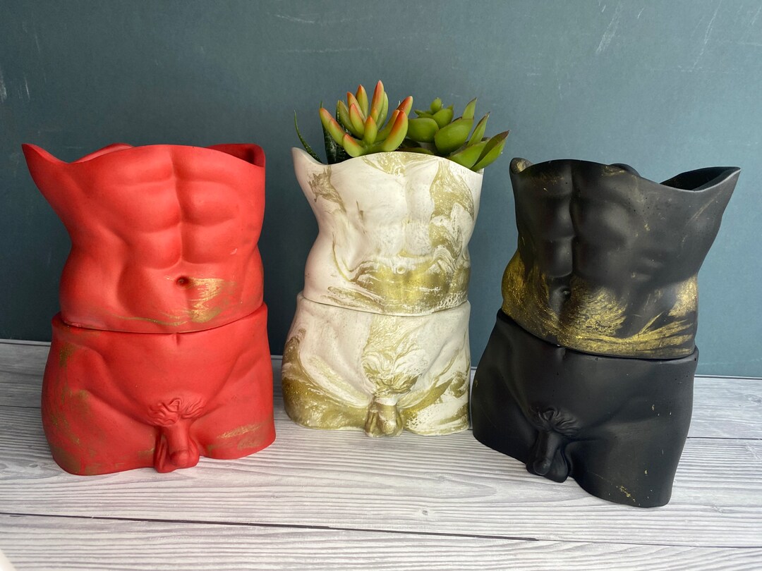 David’s Body Planter / Funny Jesmonite Plant Pots UK / Unique Design ...