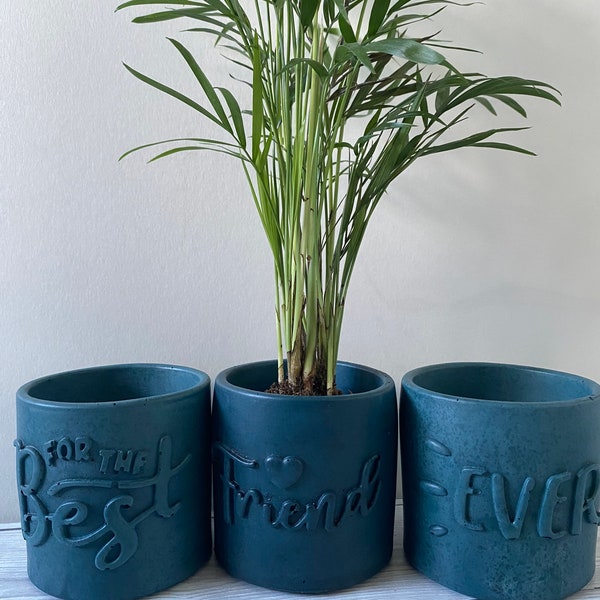 Funny Planters - Etsy