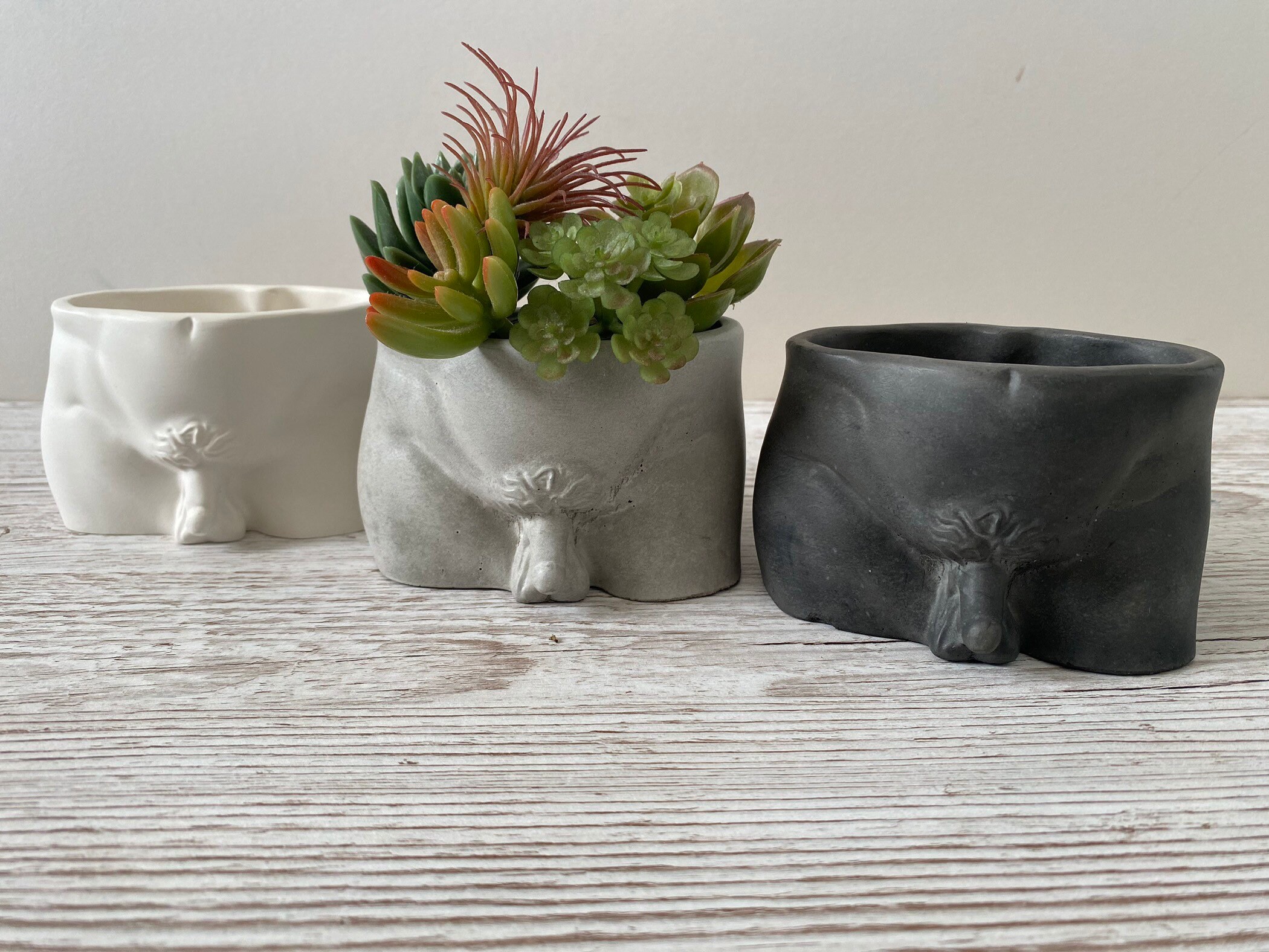 Davids Butt / Funny Planters /male Body Planter / Man Torso Pot / Human ...