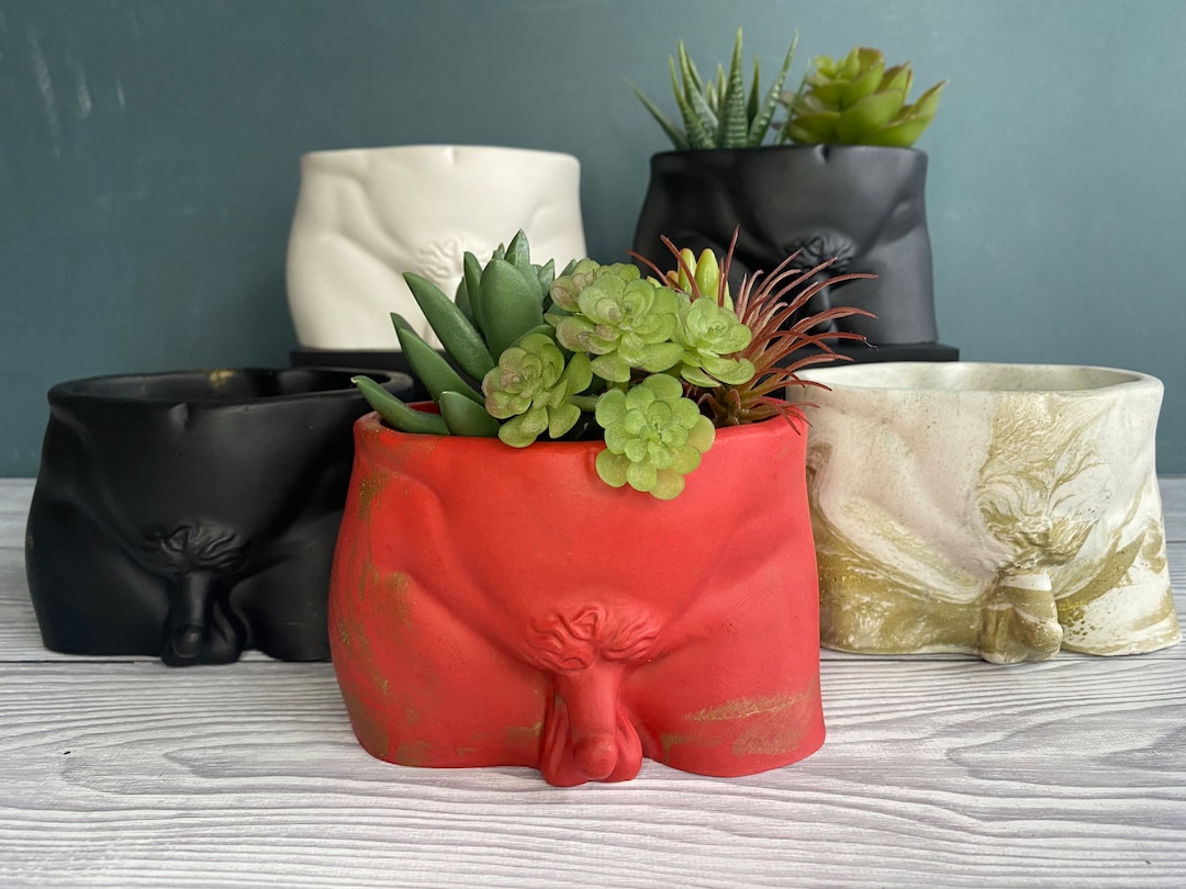 David’s Butt / Funny Planters /male Body Planter / Man Torso Pot ...