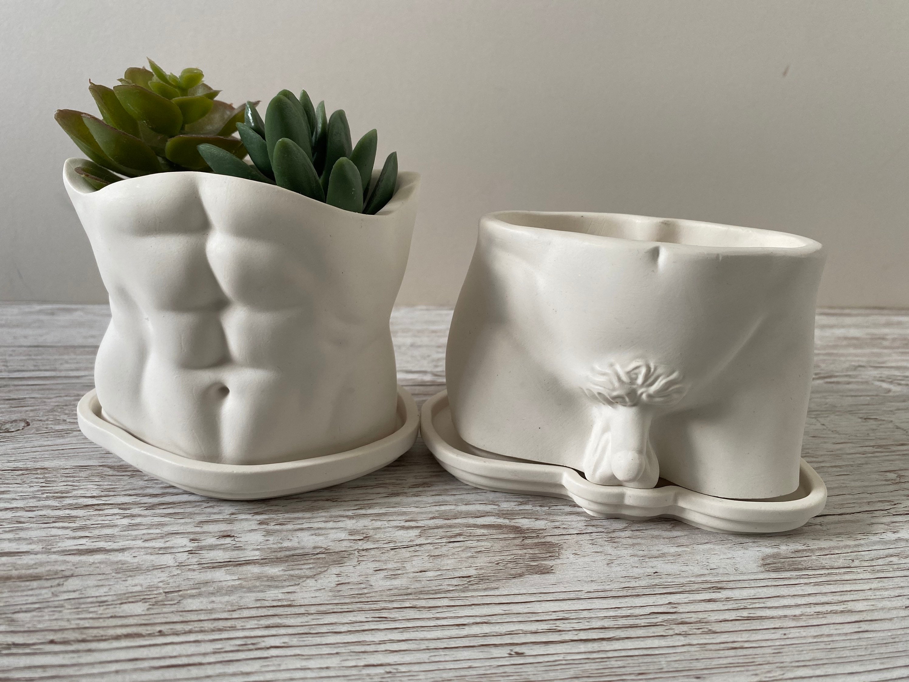 Davids Butt / Funny Planters /male Body Planter / Man Torso Pot / Human ...