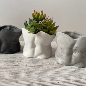 David’s Torso / Male Body Planter / Man Torso Pot / Human Planter ...