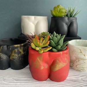 Davids Butt / Funny Planters /male Body Planter / Man Torso Pot / Human ...