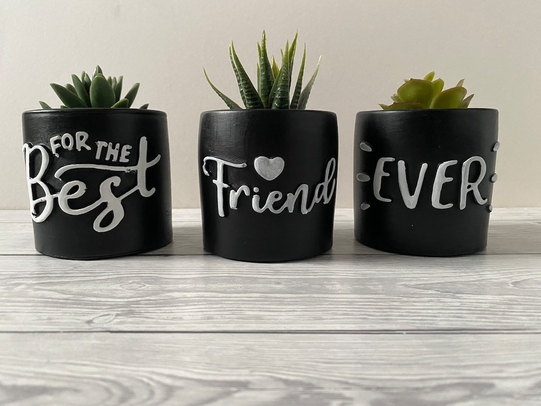 Funny Planters UK / Friendship / Friend Gift / Unique Design Pots / for ...