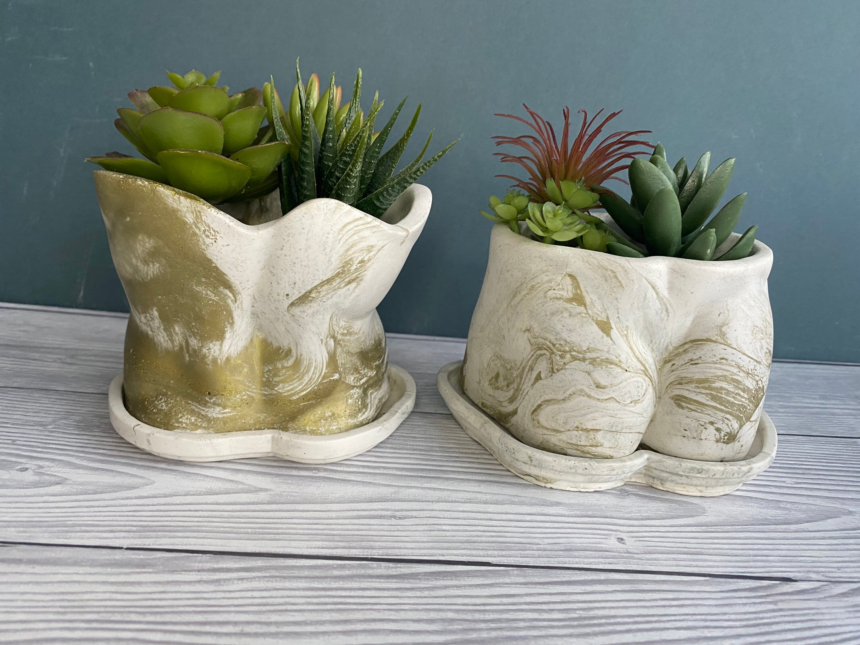 Davids Butt / Funny Planters /male Body Planter / Man Torso - Etsy