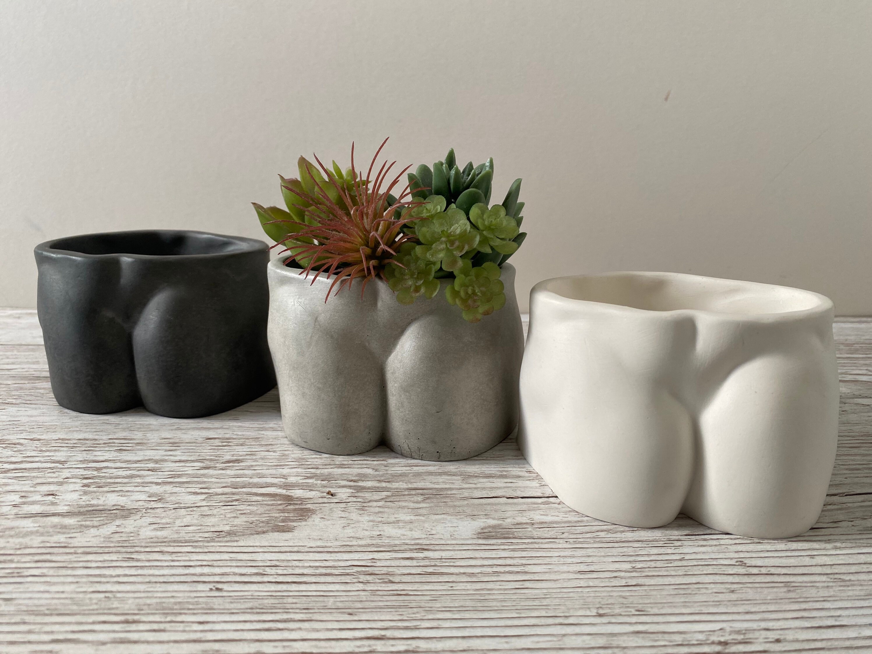 Davids Butt / Funny Planters /male Body Planter / Man Torso Pot / Human ...