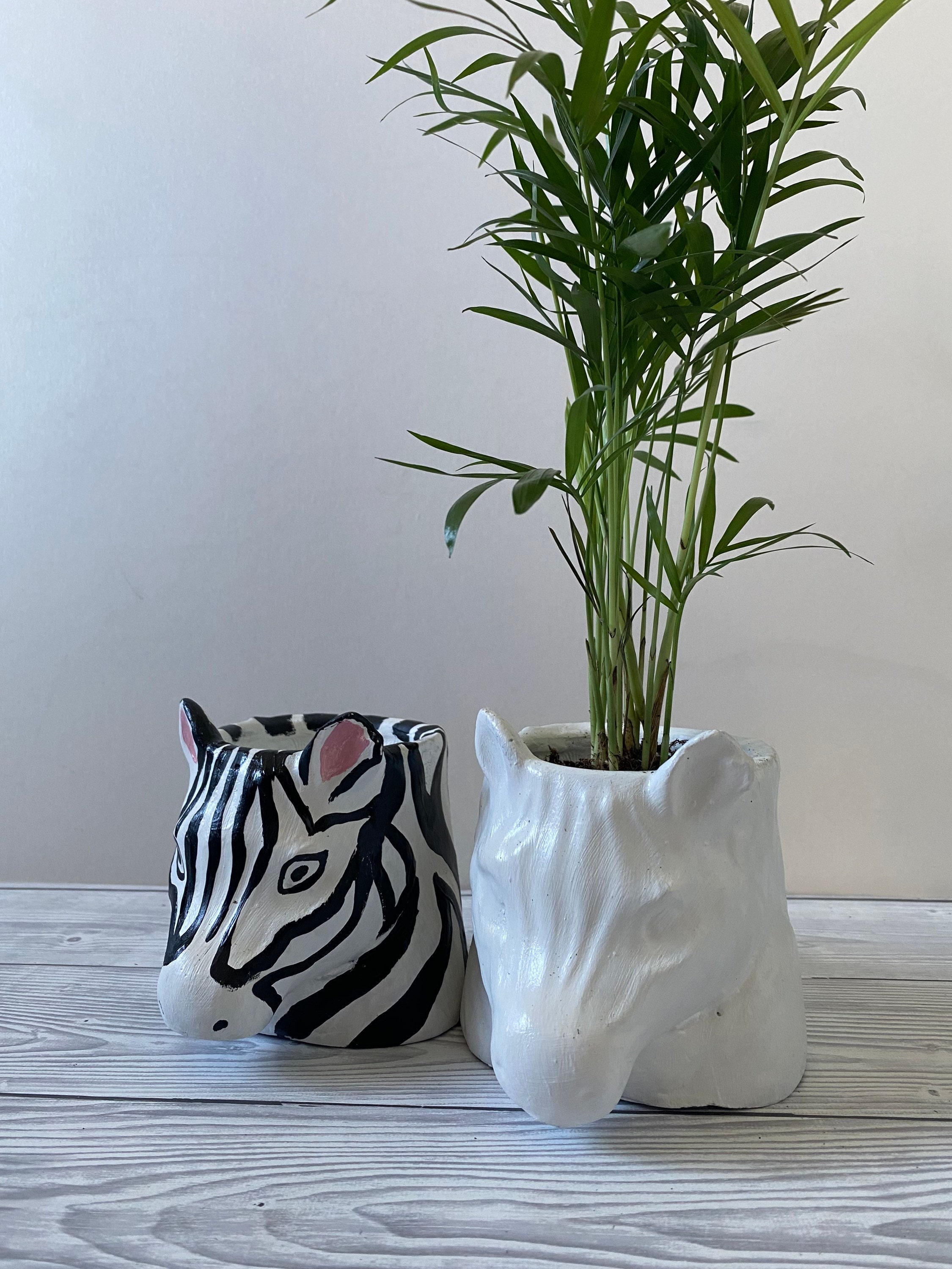 Zebra Head Planter / Round Concrete Planter / Handmade Planter / Zebra ...