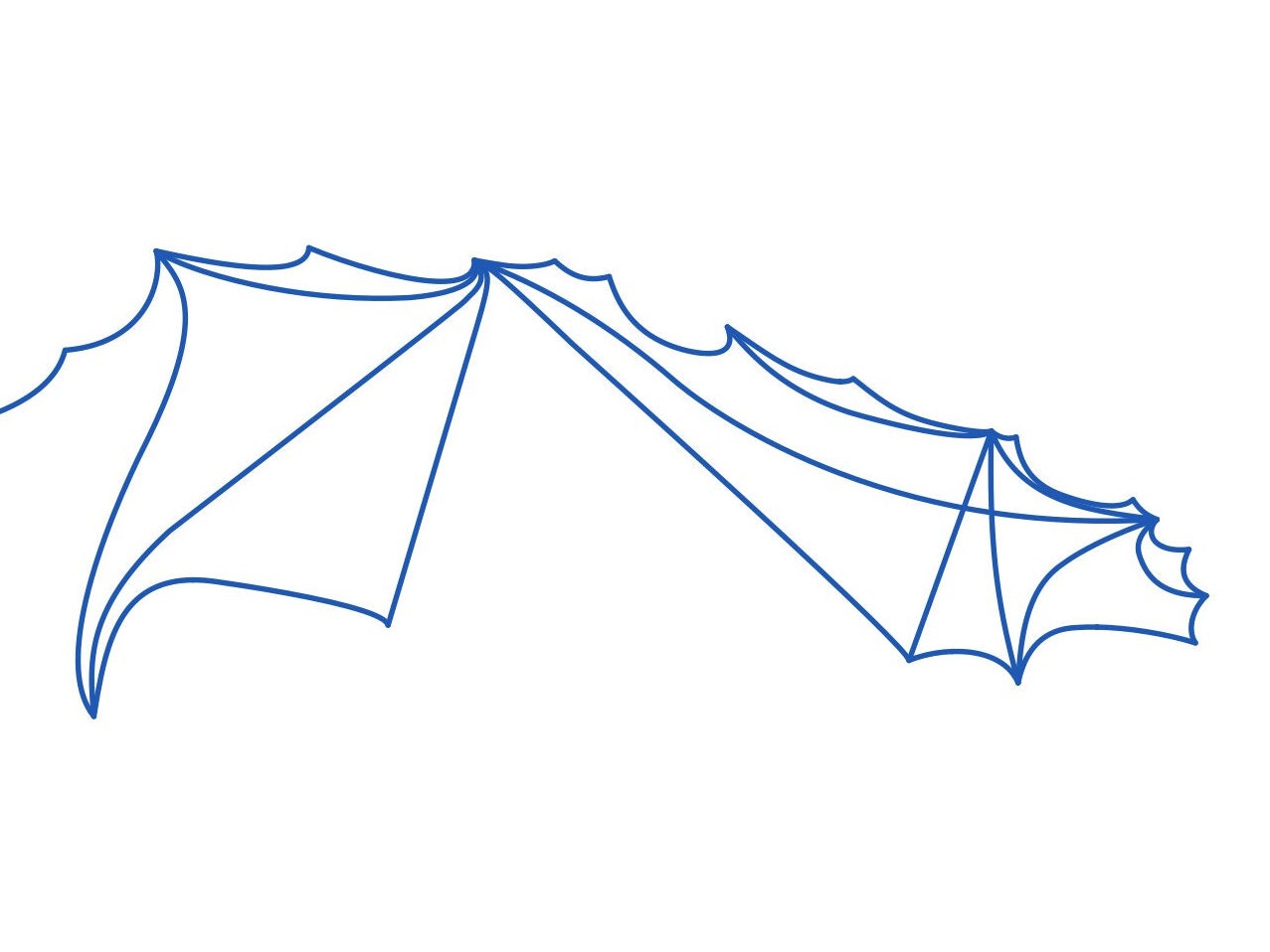 Lake Geneva Lac Leman Ferry Lines Map Poster Print (instant Digital ...