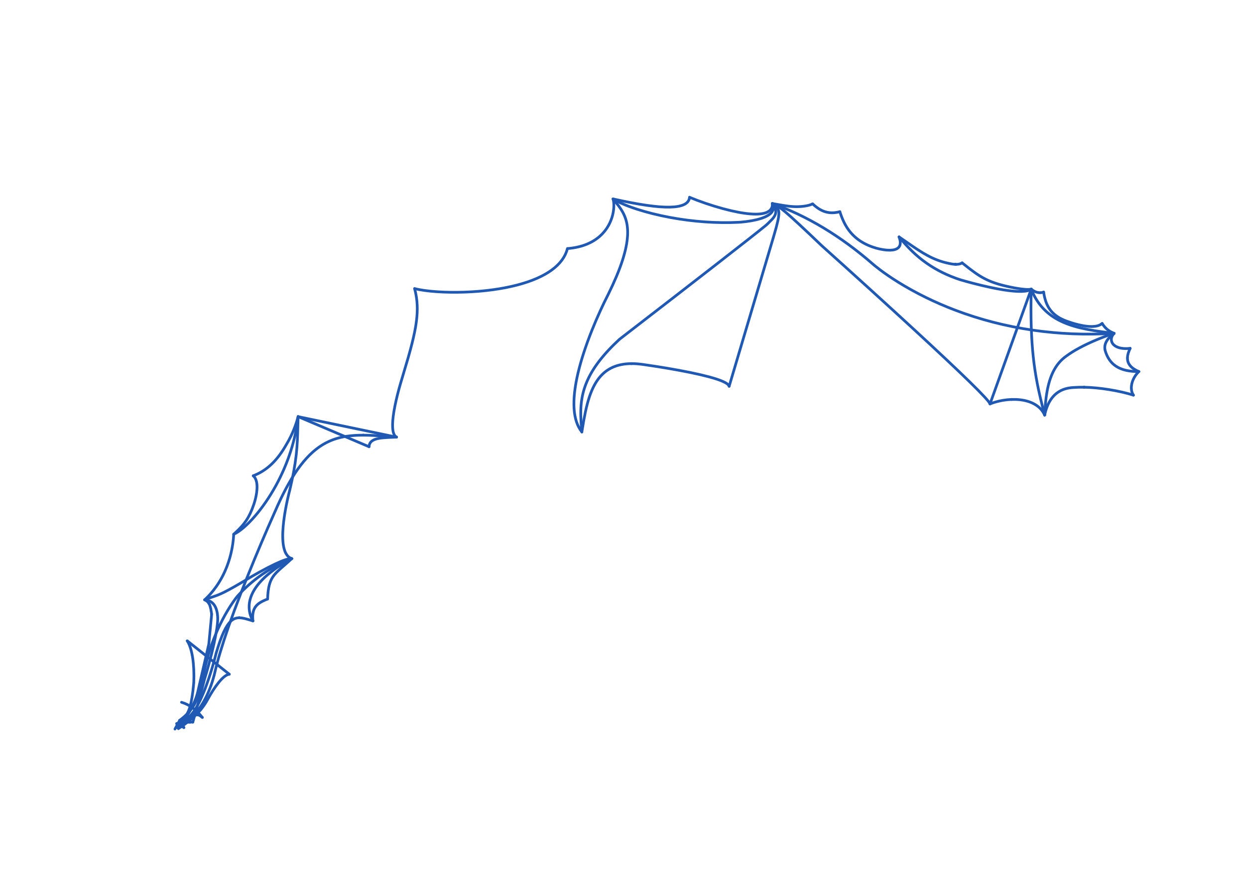 Lake Geneva Lac Leman Ferry Lines Map Poster Print (instant Digital ...