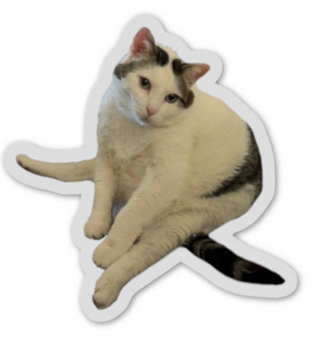 Only Head & Legg Bones Clear Vinyl Sticker - Etsy