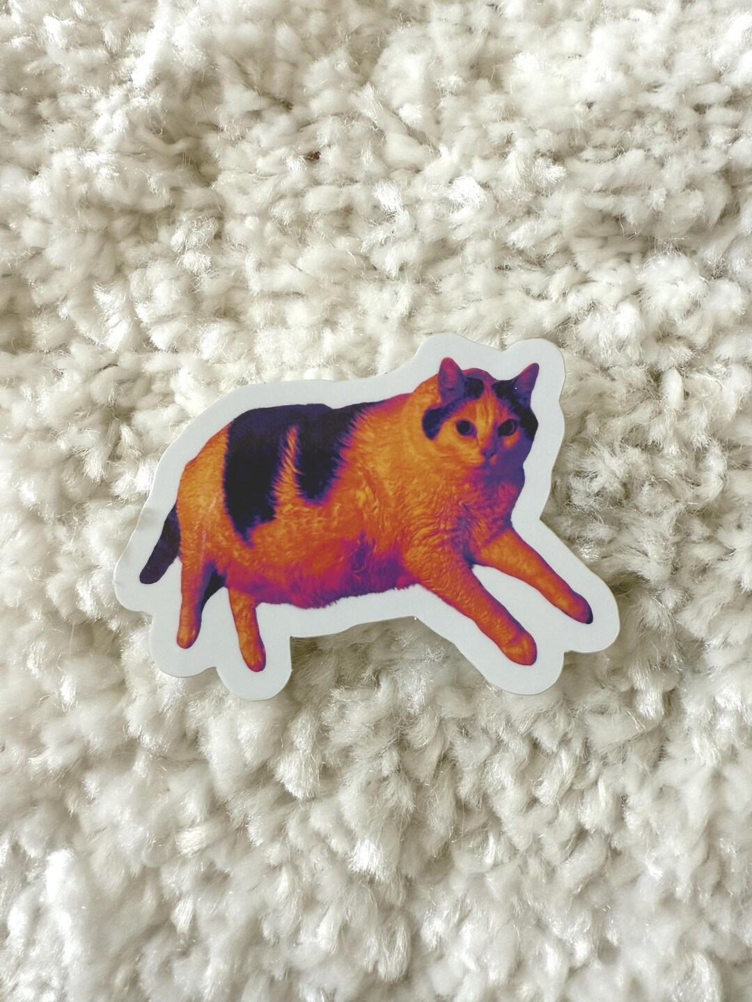 Technicolor Dreamboat Cat Clear Vinyl Cat Sticker - Etsy