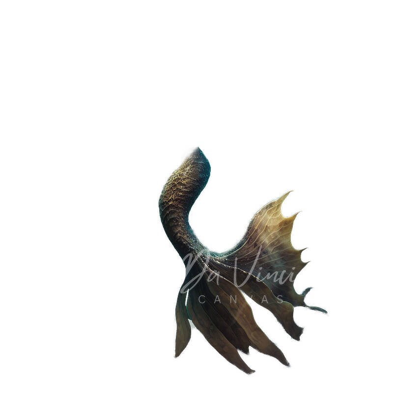 Mermaid Tail Underwater Digital Backdrop Overlay, Ocean, Water, Digital ...