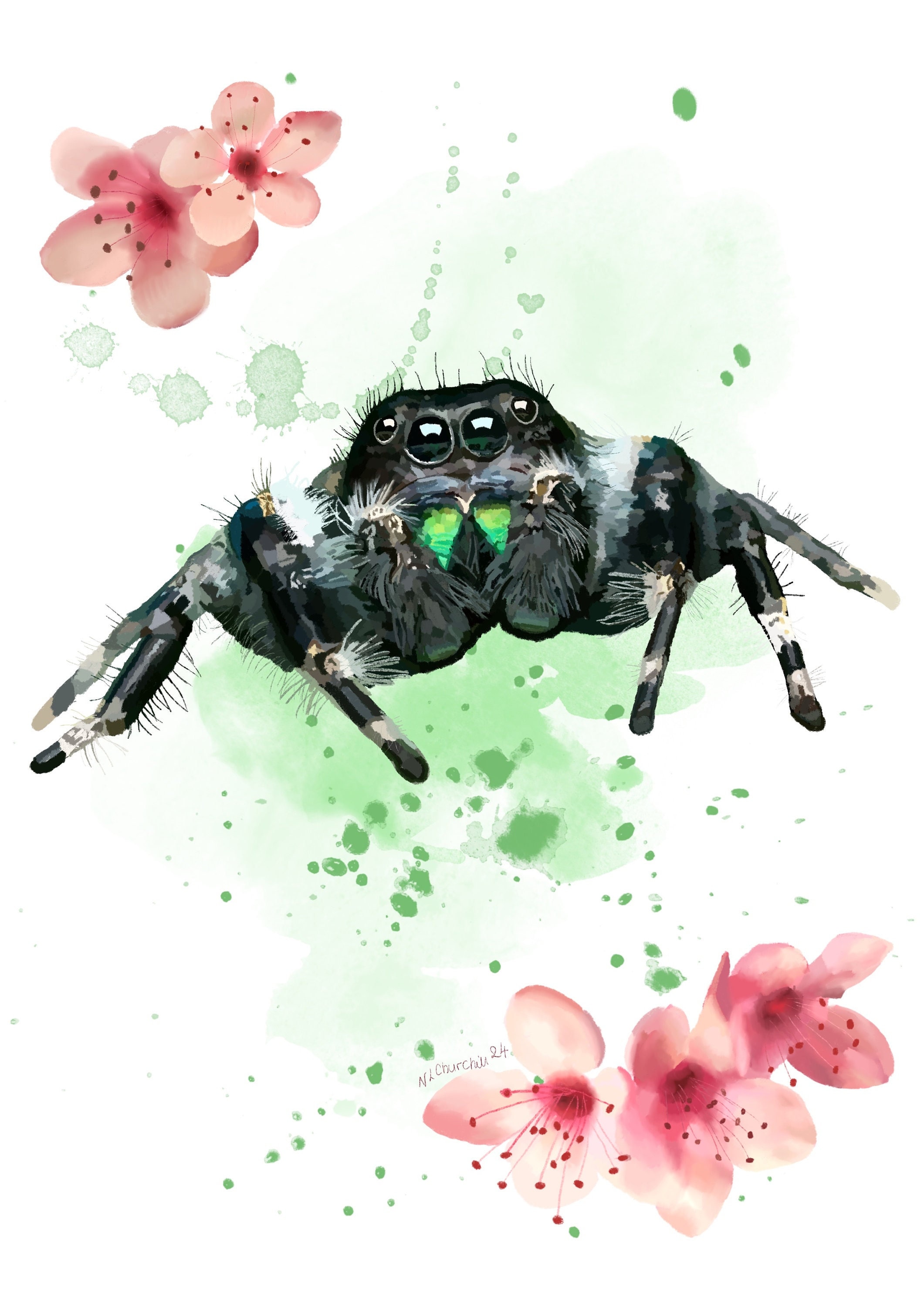 Jumping Spider - Etsy