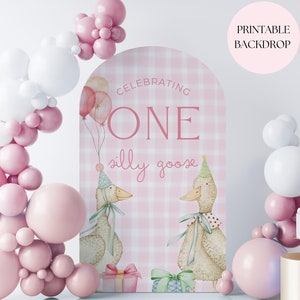 One Silly Goose Birthday Arch Background Goose First Birthday Party ...