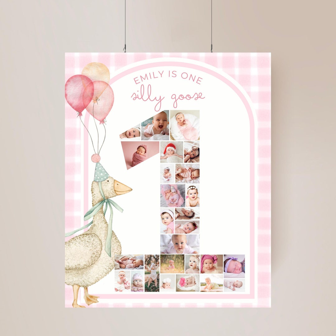 One Silly Goose Birthday Sign Photo Collage Editable Silly Goose Party ...
