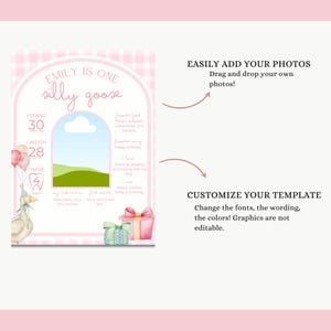 One Silly Goose Birthday Milestone Sign Editable Silly Goose Party ...