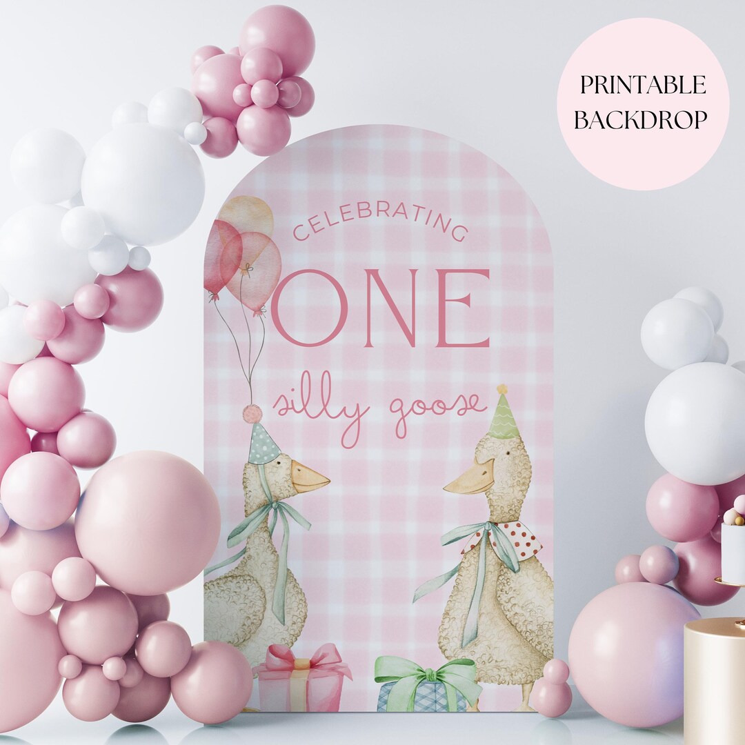 One Silly Goose Birthday Arch Background Goose First Birthday Party ...