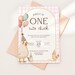 One Cute Chick Birthday This Chick is One First Birthday 1st Birthday ...