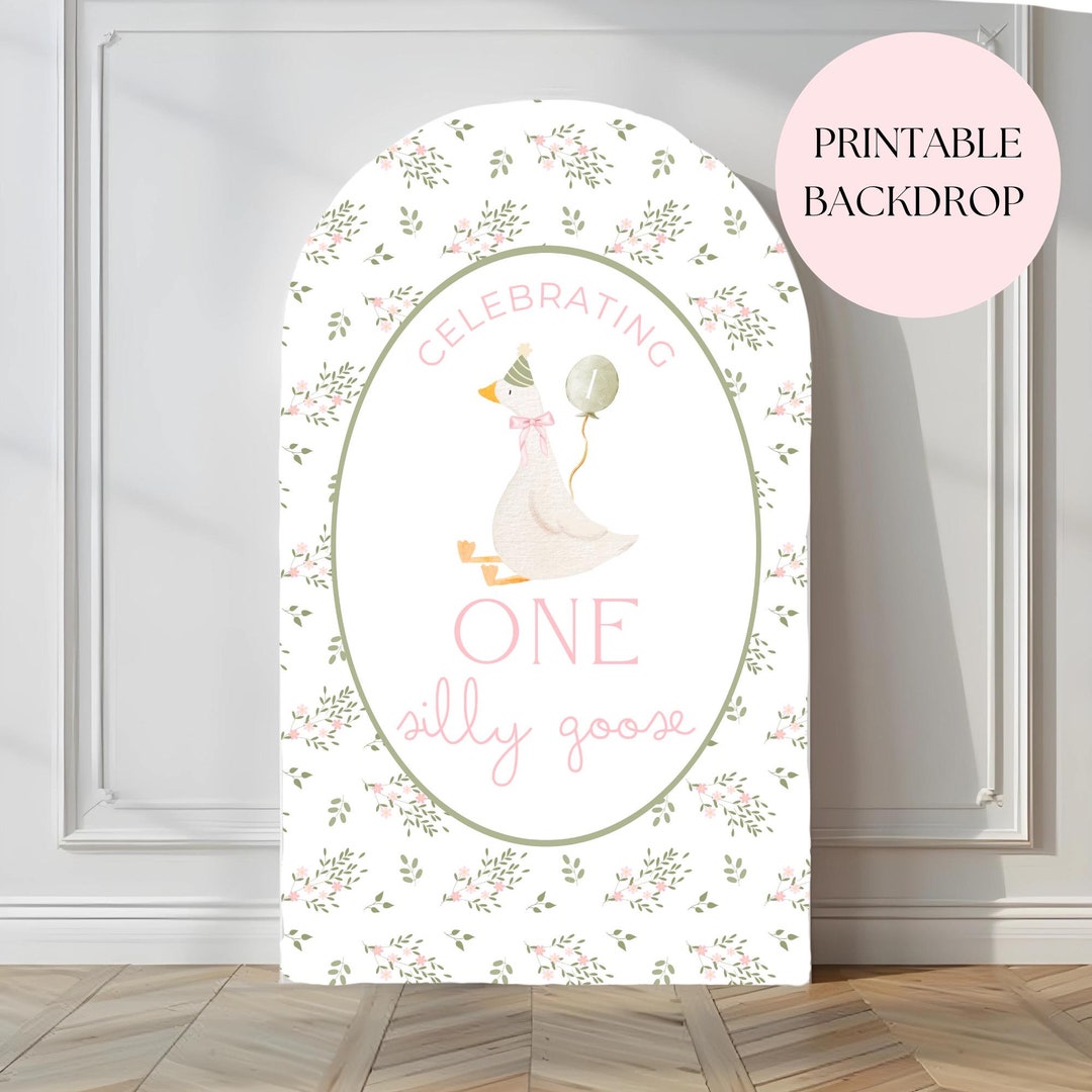 One Silly Goose Birthday Arch Background Goose First Birthday Party ...