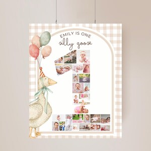 One Silly Goose Birthday Sign Photo Collage Editable Silly Goose Party ...
