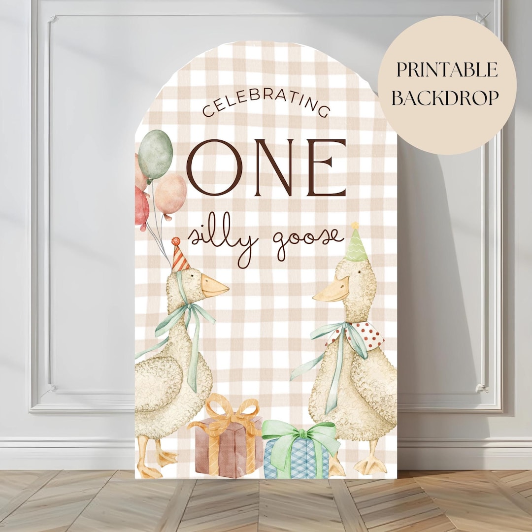 One Silly Goose Birthday Arch Background Goose First Birthday Party ...