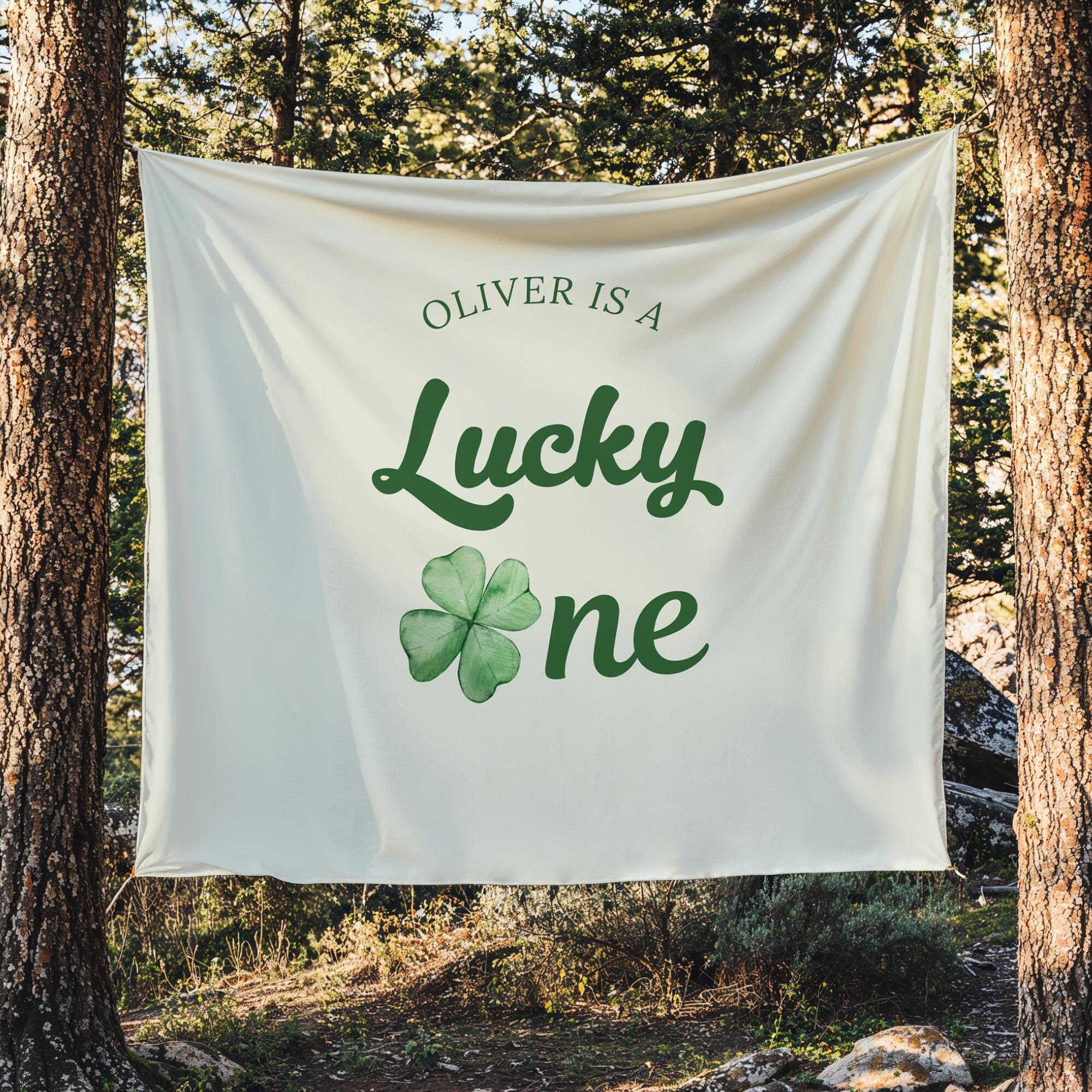 Lucky One Birthday Personalized Banner 1st Birthday St. Patricks ...