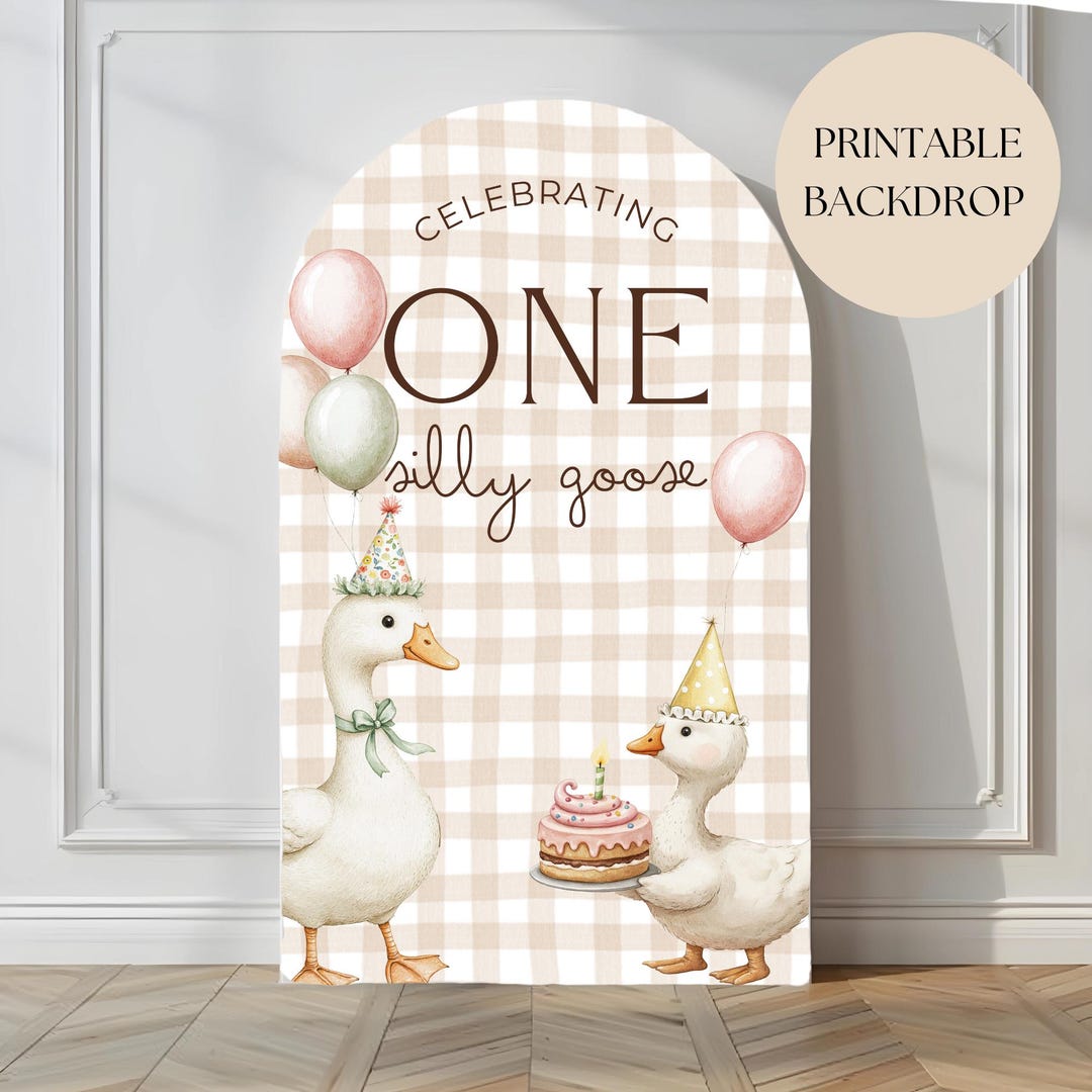 One Silly Goose Birthday Arch Background Goose First Birthday Party ...