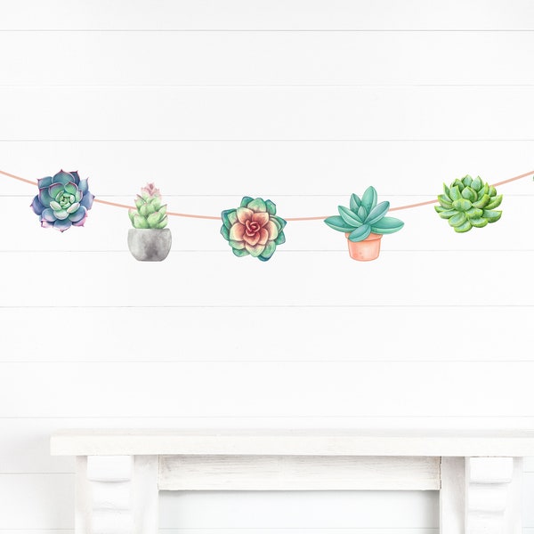 Succulent Party - Etsy