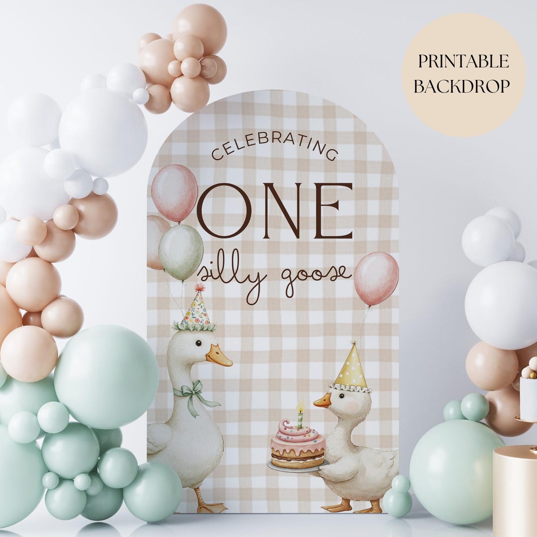 One Silly Goose Birthday Arch Background Goose First Birthday Party ...