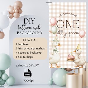 One Silly Goose Birthday Arch Background Goose First Birthday Party ...