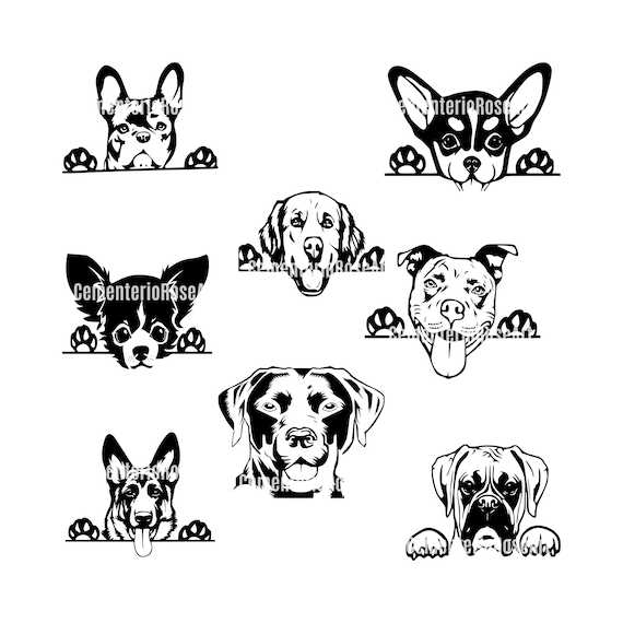 Dog Svg Animal Svg Animal Pet Logo Desing Pitbul Svg | Etsy