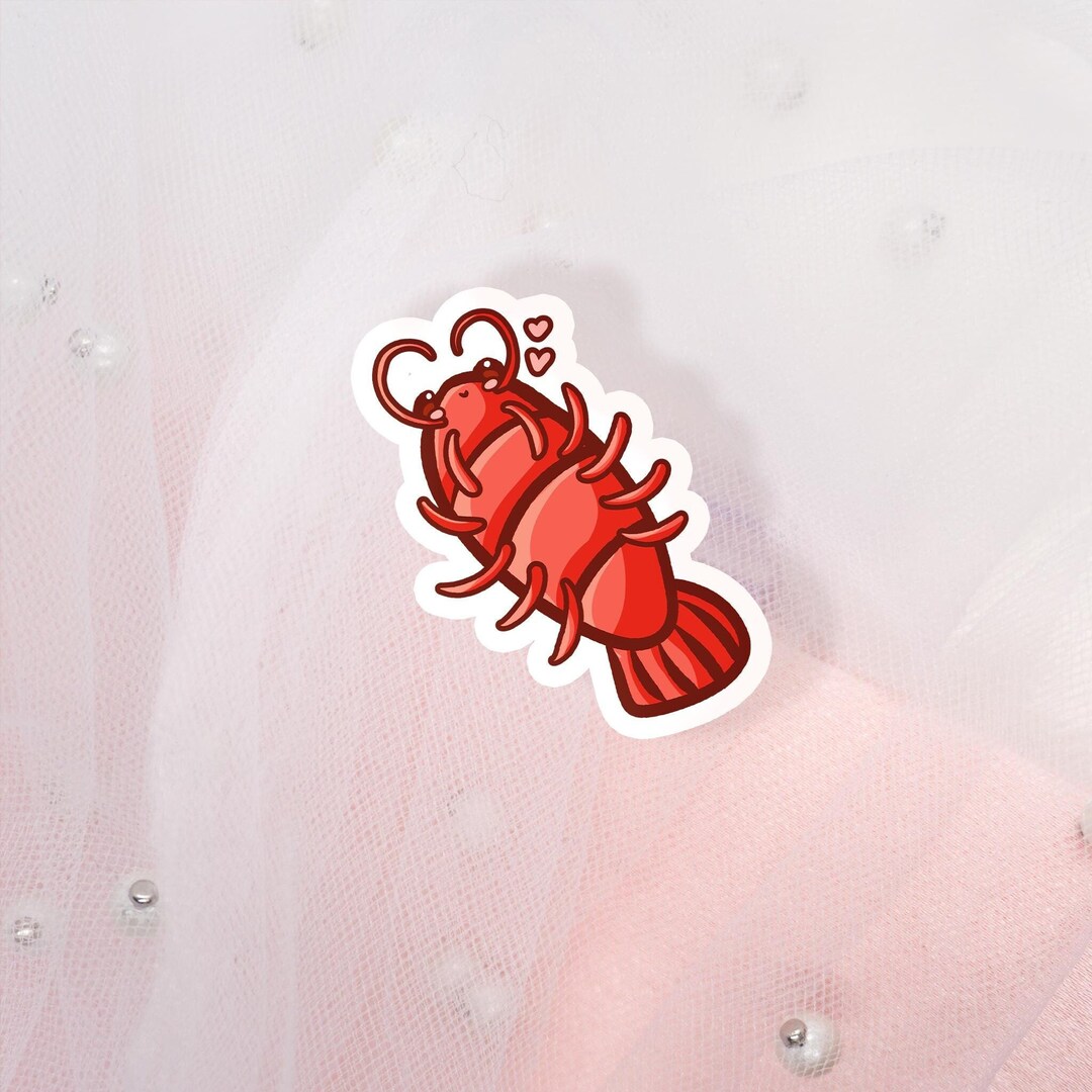 Cute Kawaii Shrimp Sticker Prawn Ocean Sea Animal Laptop Stickers ...