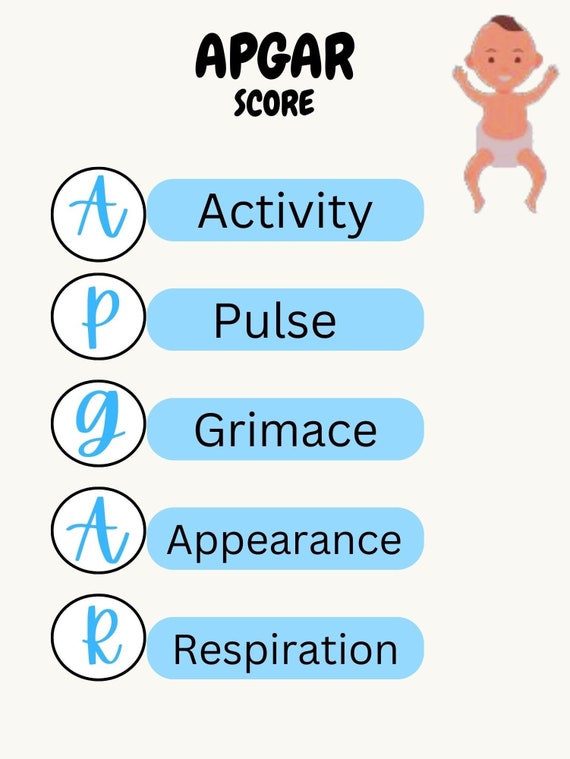 Paramedic Pediatric APGAR Score - Etsy