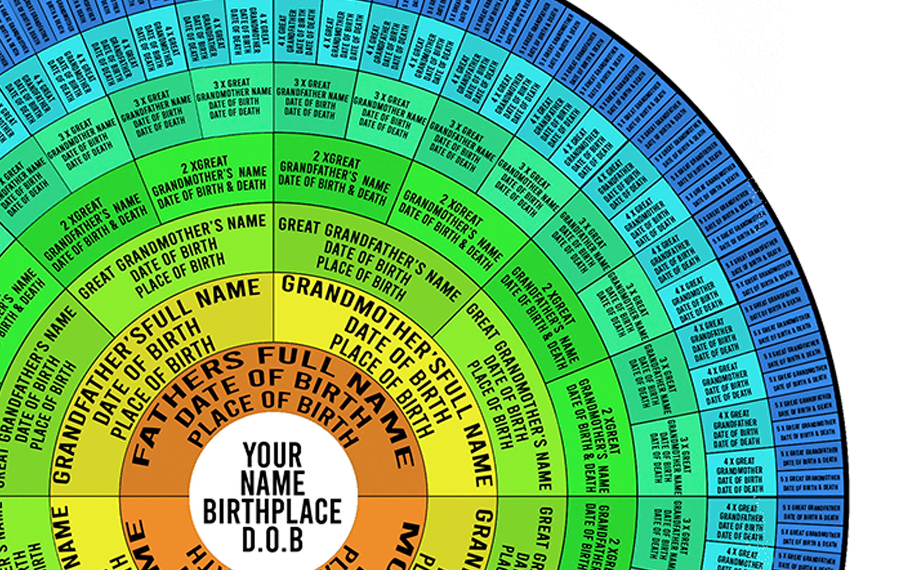 Personalised Full Circle Family Tree Print 8 Generations 3 Sizes Framed ...