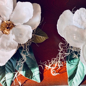 Oyster Shell Magnolia - Etsy