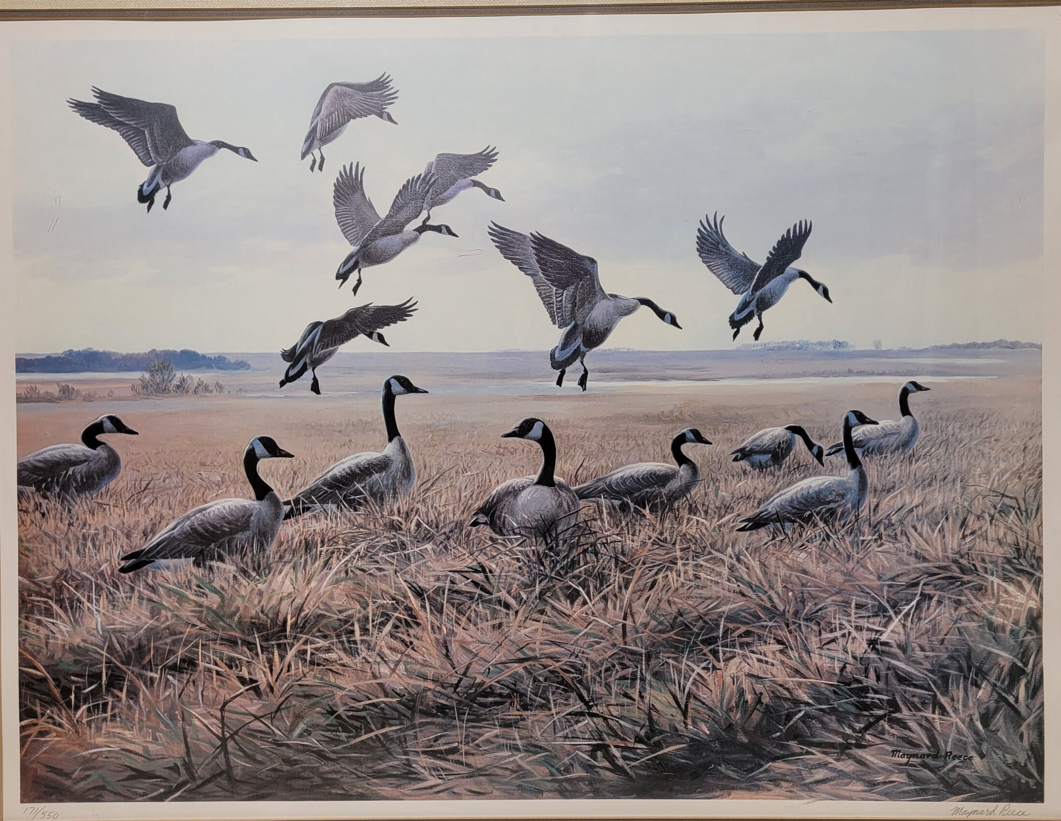 Maynard Reece "feeding Time - Canada Geese" Lithograph Signed/numbered ...