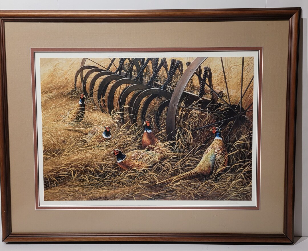 Rosemary Millette Autumn Encounter Pheasants Print - Etsy