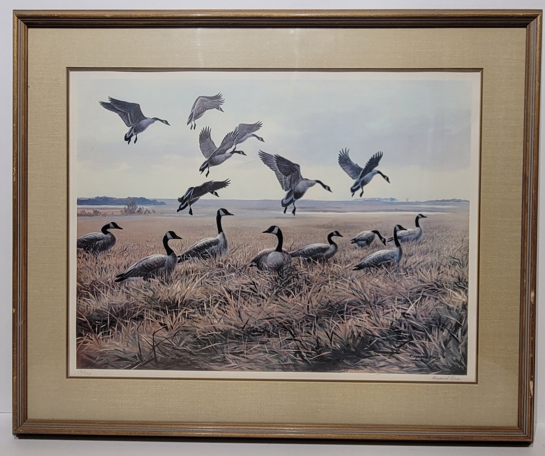 Maynard Reece "feeding Time - Canada Geese" Lithograph Signed/numbered ...